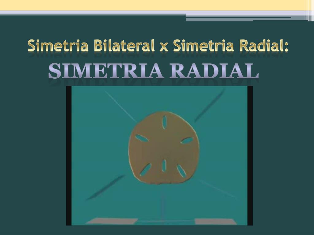 PPT - Evolução da arquitetura animal: Radiata para bilateria PowerPoint ...
