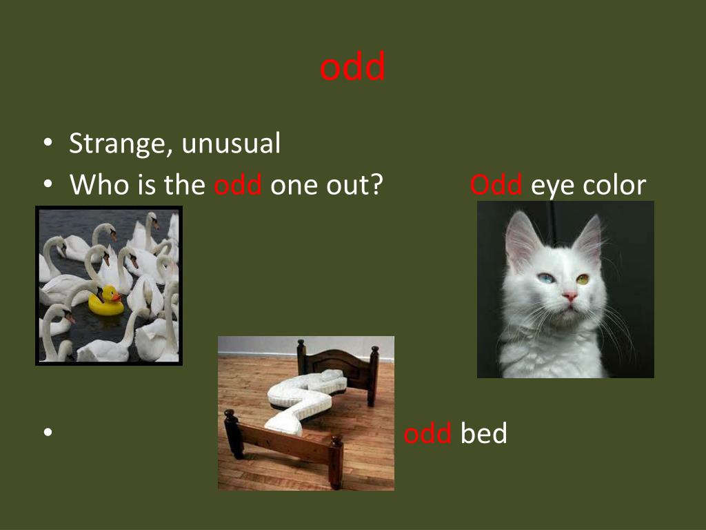 PPT - Miss Alaineus . A Vocabulary Disaster PowerPoint Presentation ...