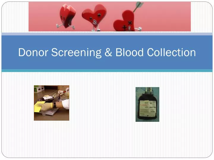 PPT - Donor Screening & Blood Collection PowerPoint Presentation, free ...