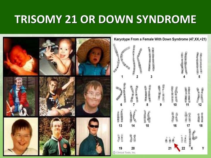 PPT - PATTERNS OF INHERITANCE PowerPoint Presentation - ID:2122769