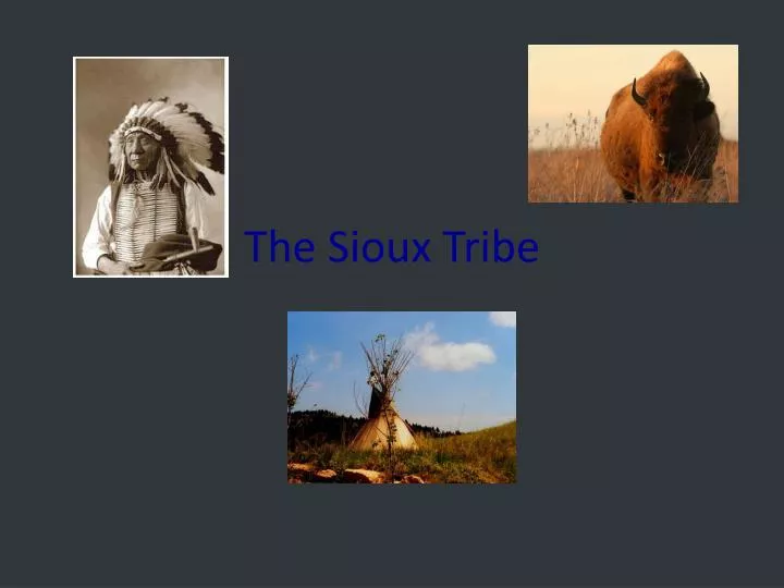 PPT - The Sioux Tribe PowerPoint Presentation, free download - ID:2123147