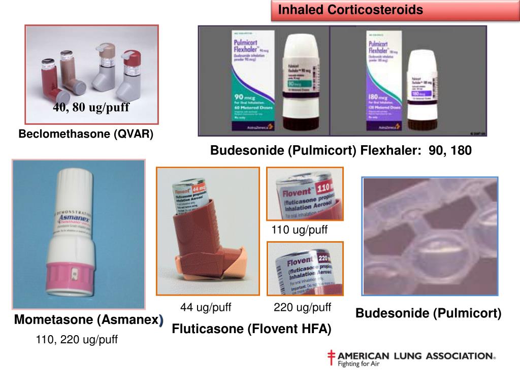 PPT - Asthma Management Pharmacological Therapy PowerPoint Presentation ...