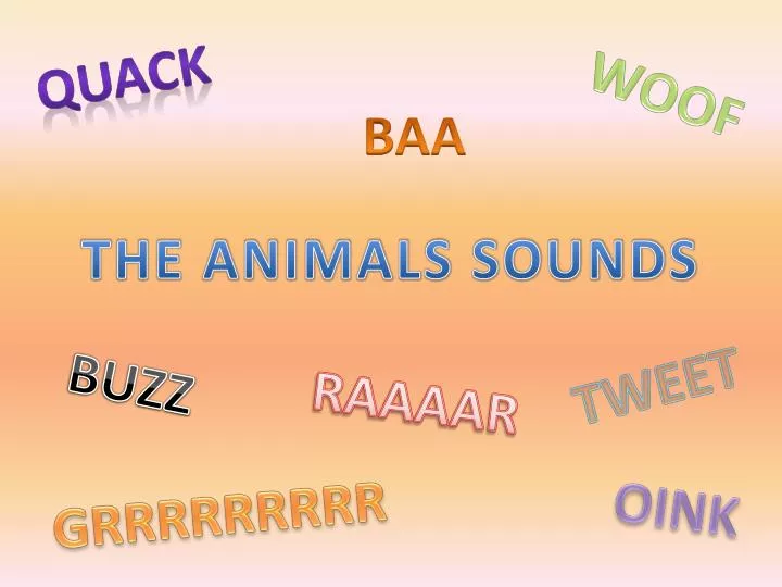 PPT - THE ANIMALS SOUNDS PowerPoint Presentation, free download - ID ...