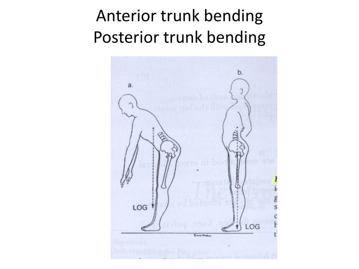PPT - Biomechanics- Gait PowerPoint Presentation - ID:2124095