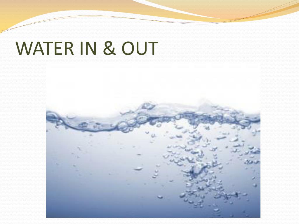PPT - WE NEED A NEWSTART LIFESTYLE CLUB PowerPoint Presentation, free ...