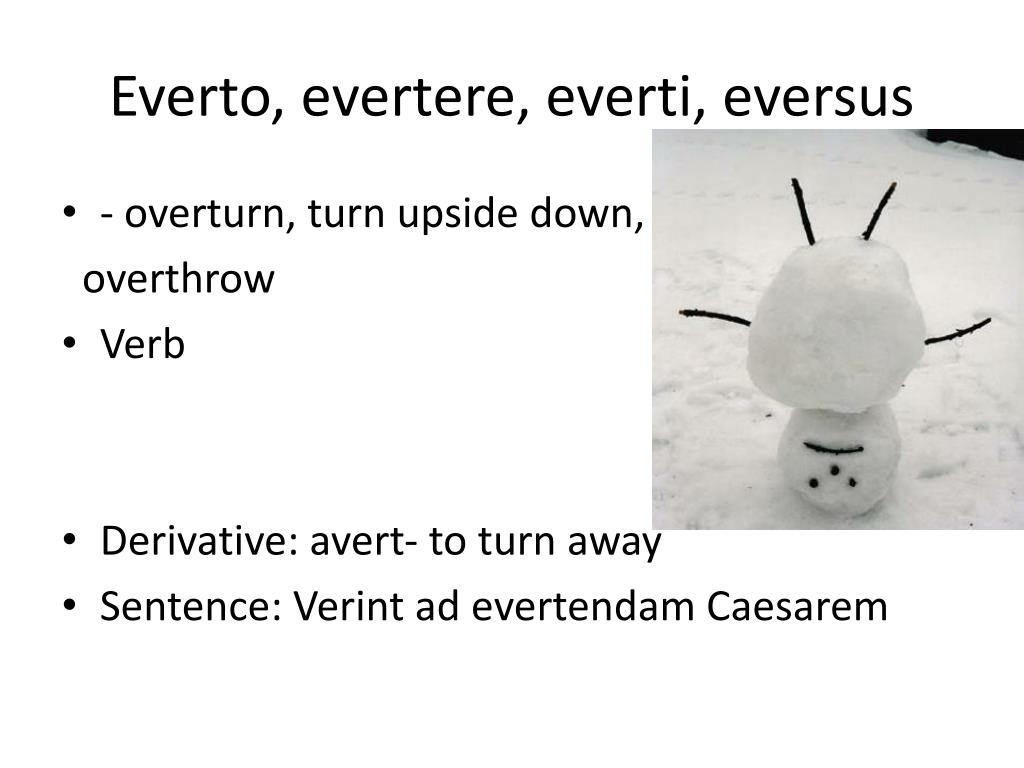 PPT - Pliny 20 Student Vocabulary PowerPoint Presentation, free ...