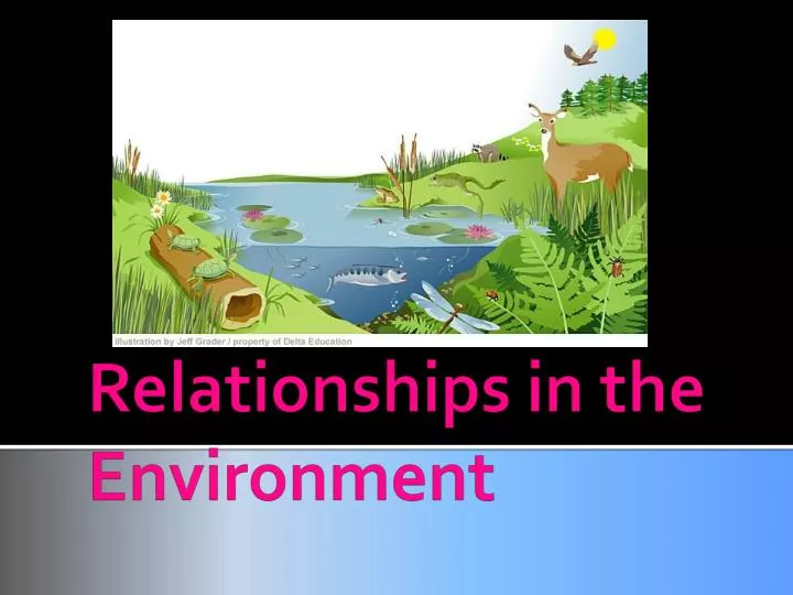 PPT - Relationships in the Environment PowerPoint Presentation, free ...