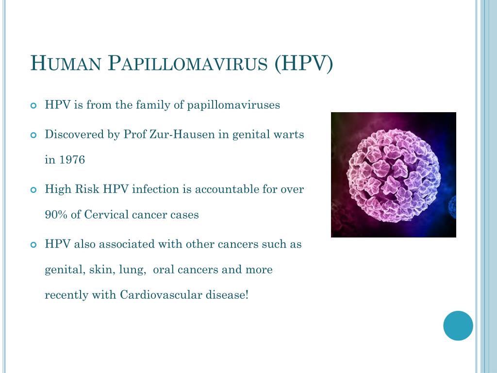 PPT - Human papillomavirus and breast cancer PowerPoint Presentation ...
