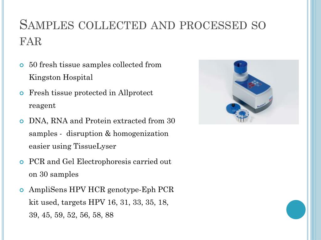 PPT - Human papillomavirus and breast cancer PowerPoint Presentation ...