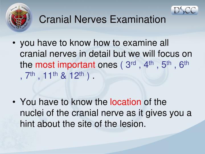 PPT - CNS Examination PowerPoint Presentation - ID:2125941