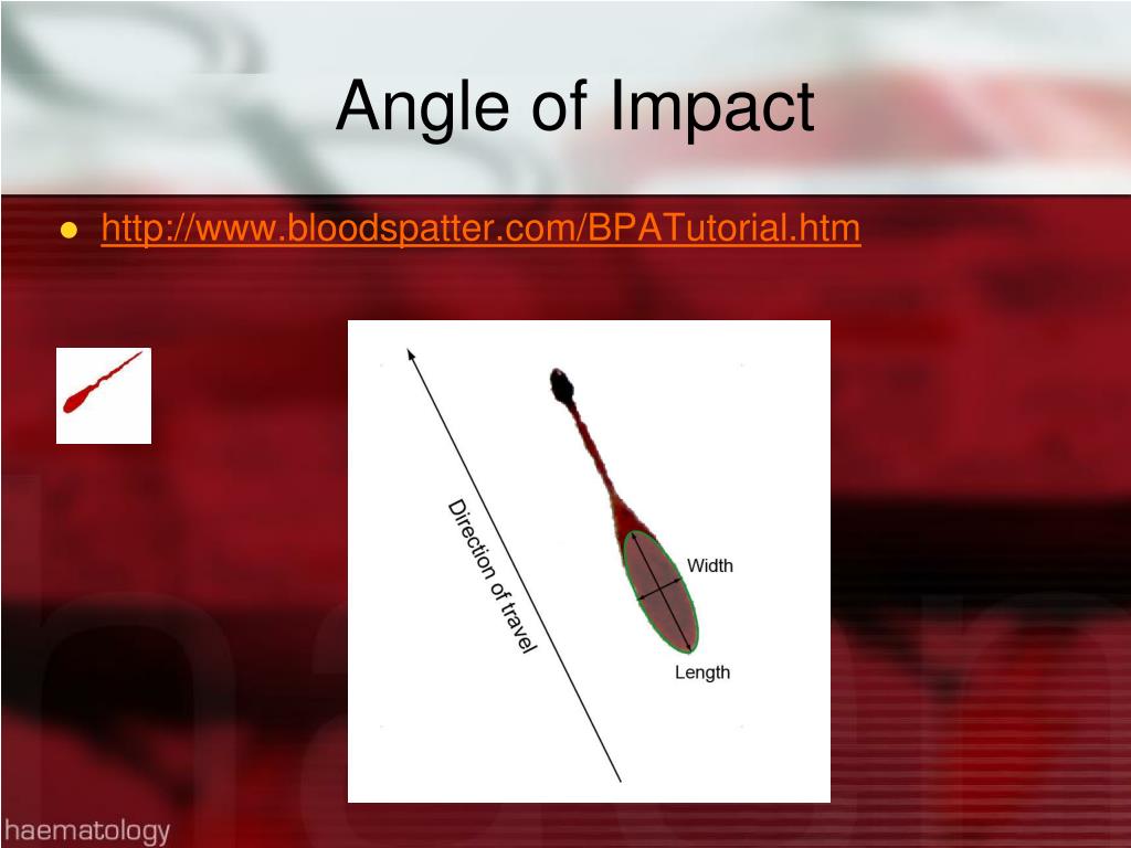 PPT - Blood, Blood spatter and DNA Ch. 7 and 8 PowerPoint Presentation ...