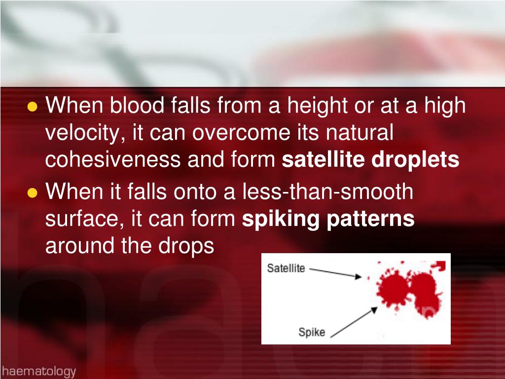 PPT - Blood, Blood spatter and DNA Ch. 7 and 8 PowerPoint Presentation ...