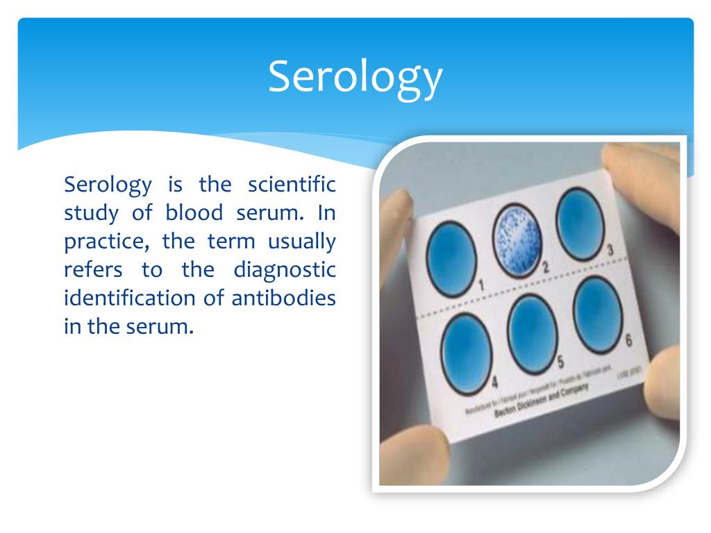 PPT - MALARIA, ROLE OF SEROLOGY: ELISA AND PCR PowerPoint Presentation ...