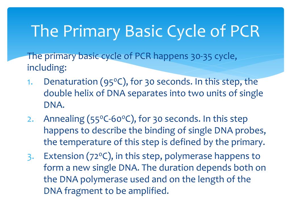 PPT - MALARIA, ROLE OF SEROLOGY: ELISA AND PCR PowerPoint Presentation ...