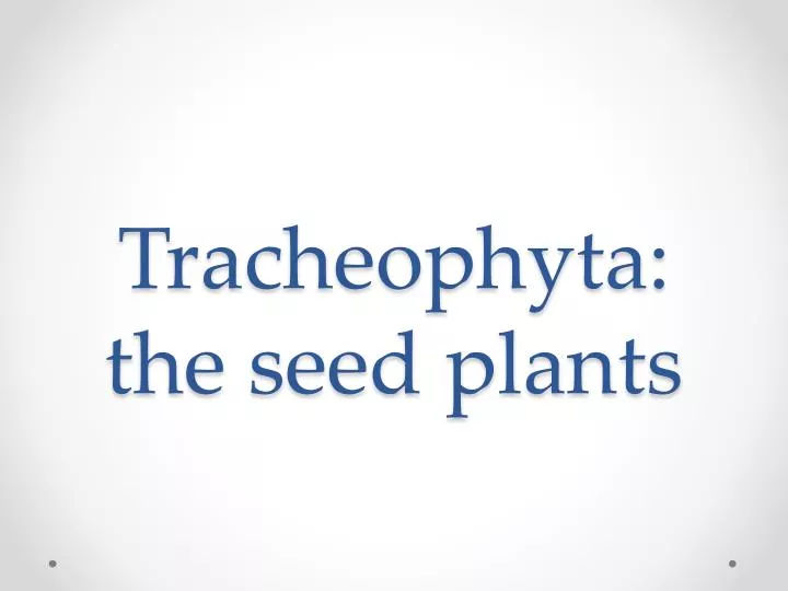 PPT - Tracheophyta : the seed plants PowerPoint Presentation, free ...