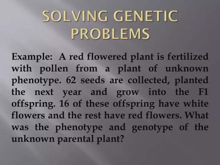 PPT - Solving Genetic Problems PowerPoint Presentation, free download - ID:2126245
