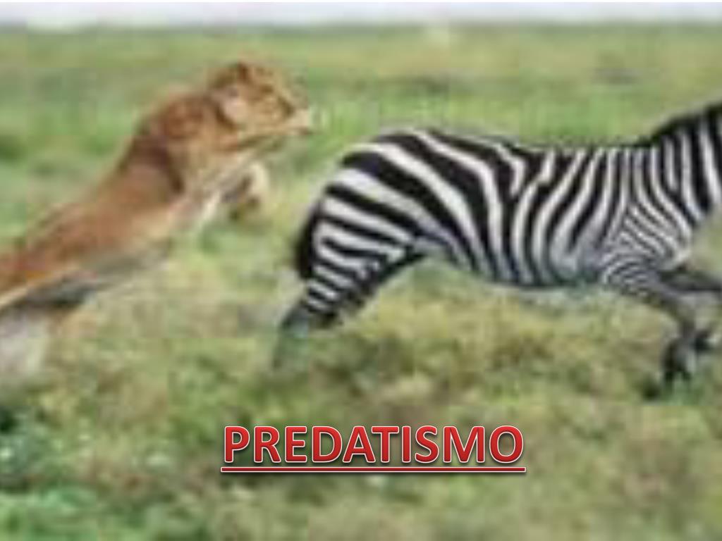 PPT - Relações Harmônicas E Relações Desarmônicas PowerPoint ...