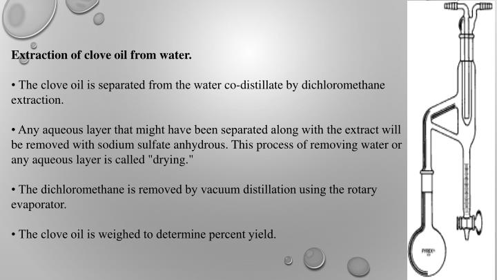 PPT - Steam Distillation PowerPoint Presentation - ID:2126736