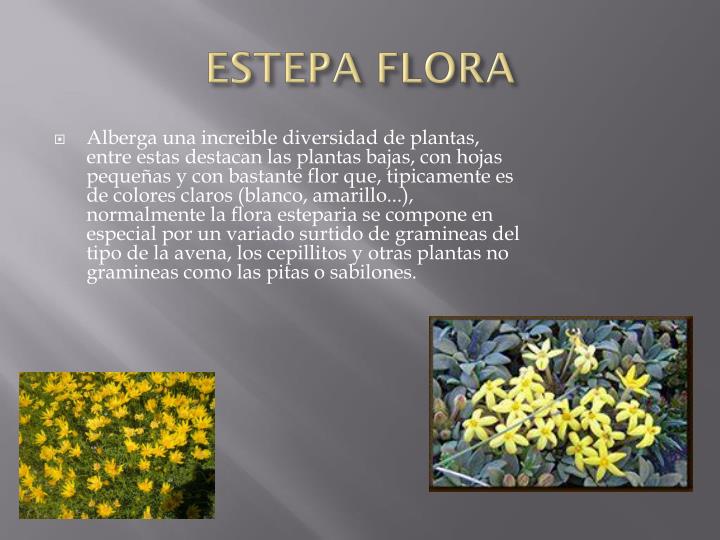 PPT - ECOLOGIA GENERAL PowerPoint Presentation - ID:2127420