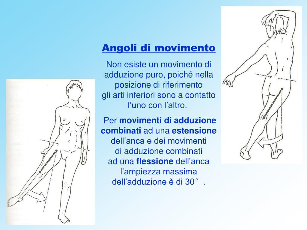 PPT - ANATOMIA DELL’ANCA E BIOMECCANICA DELL'ARTICOLAZIONE COXO ...