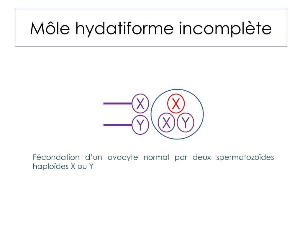 PPT - Maladies trophoblastiques Pr Denis Vinatier Faculté de Médecine ...