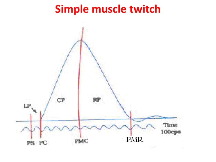 PPT - EXCITABLE TISSUE PowerPoint Presentation - ID:2127595