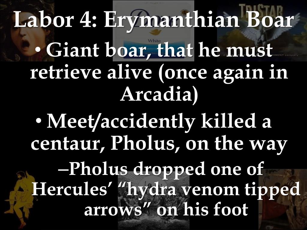PPT - Greek and Roman Mythology: Remaining Mythic Themes PowerPoint ...