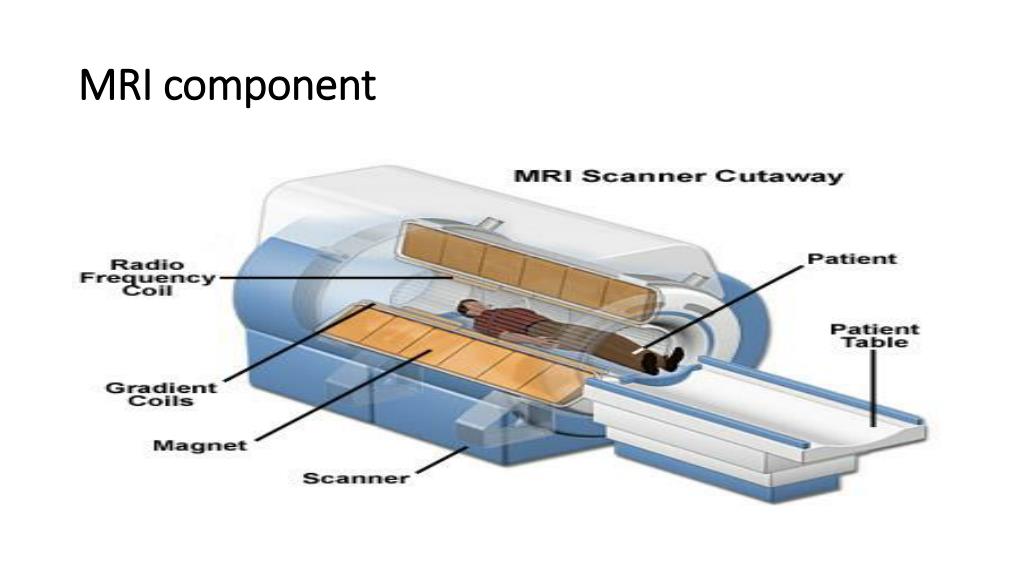 PPT - An- Najah National University Faculty of Graduate studies ...