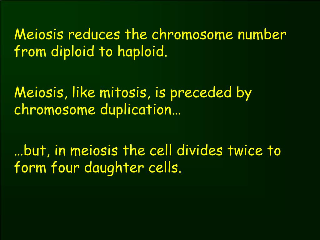 PPT - Meiosis & Sexual Reproduction PowerPoint Presentation, free ...