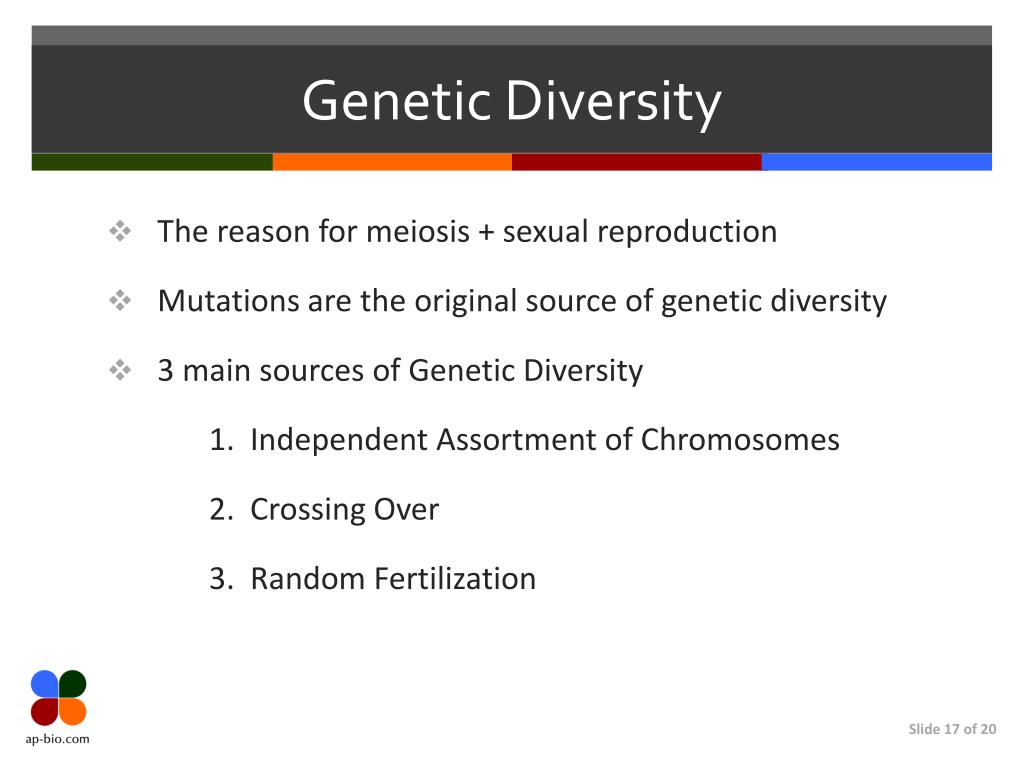 PPT - Meiosis & Sexual Life Cycle PowerPoint Presentation, free ...