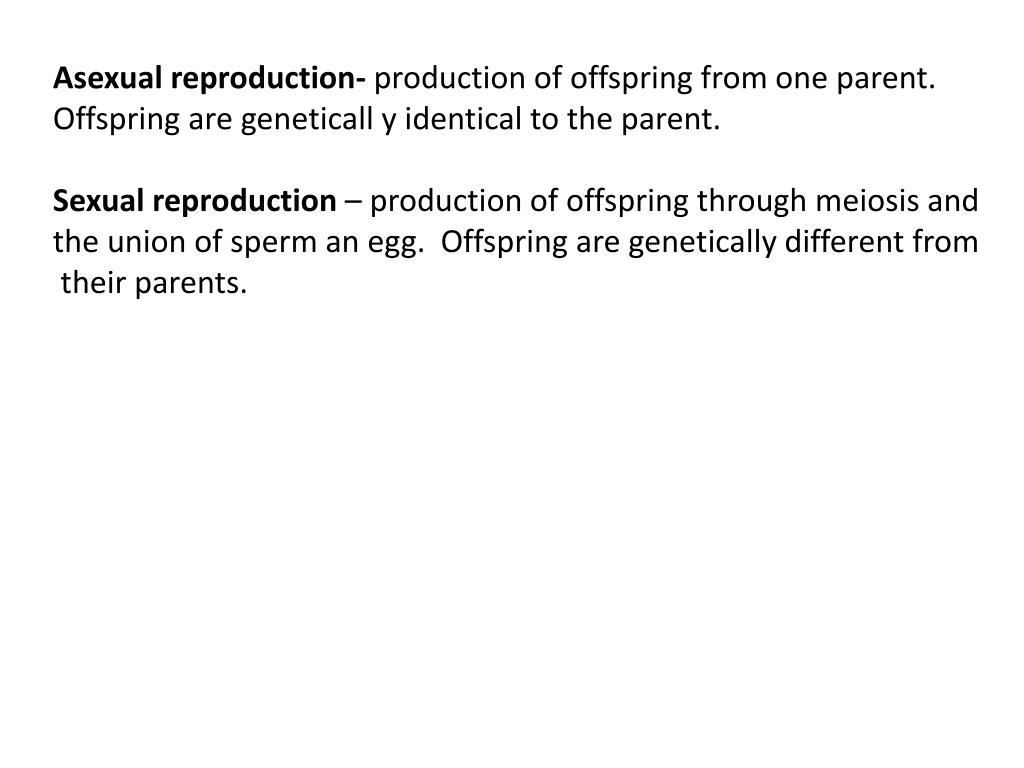 Ppt Chapter 8 Section 3 Meiosis Powerpoint Presentation Free