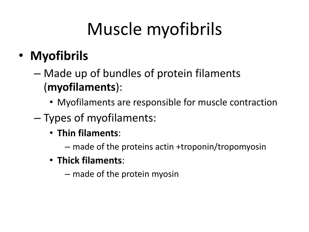 PPT - Biology 121 Anatomy and physiology PowerPoint Presentation, free ...