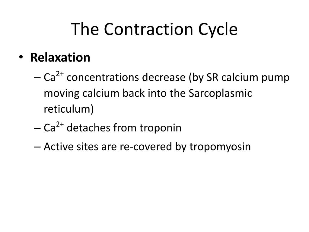 PPT - Biology 121 Anatomy and physiology PowerPoint Presentation, free ...