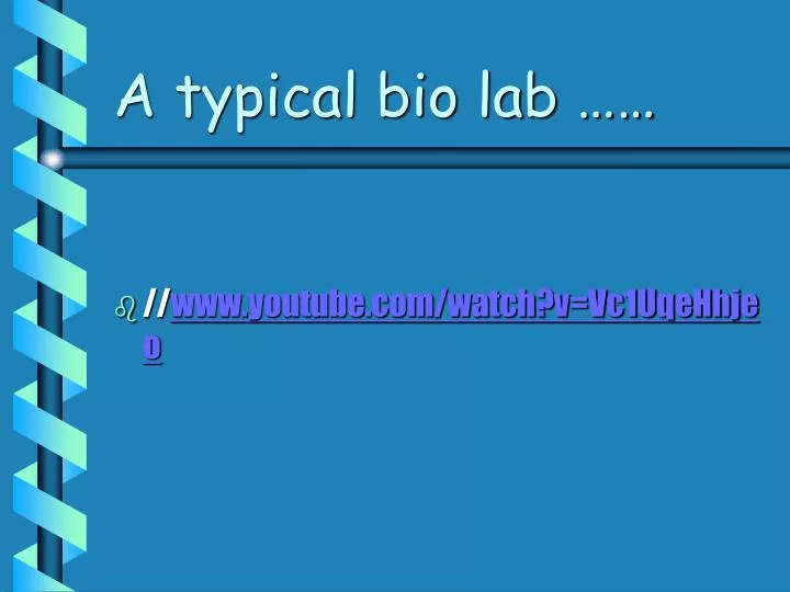 PPT - A typical bio lab …… PowerPoint Presentation, free download - ID ...