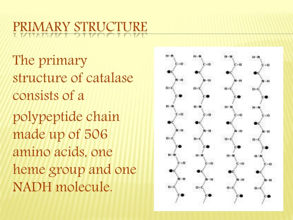 PPT - Oana Nafornita & wendela birgersson PowerPoint Presentation - ID ...