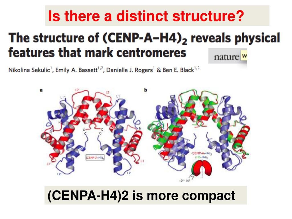 PPT - Shelley Berger The Wistar Institute University of Pennsylvania ...