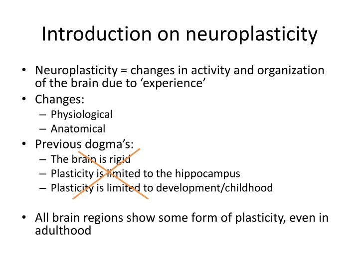 PPT - Neuroplasticity PowerPoint Presentation - ID:2128633