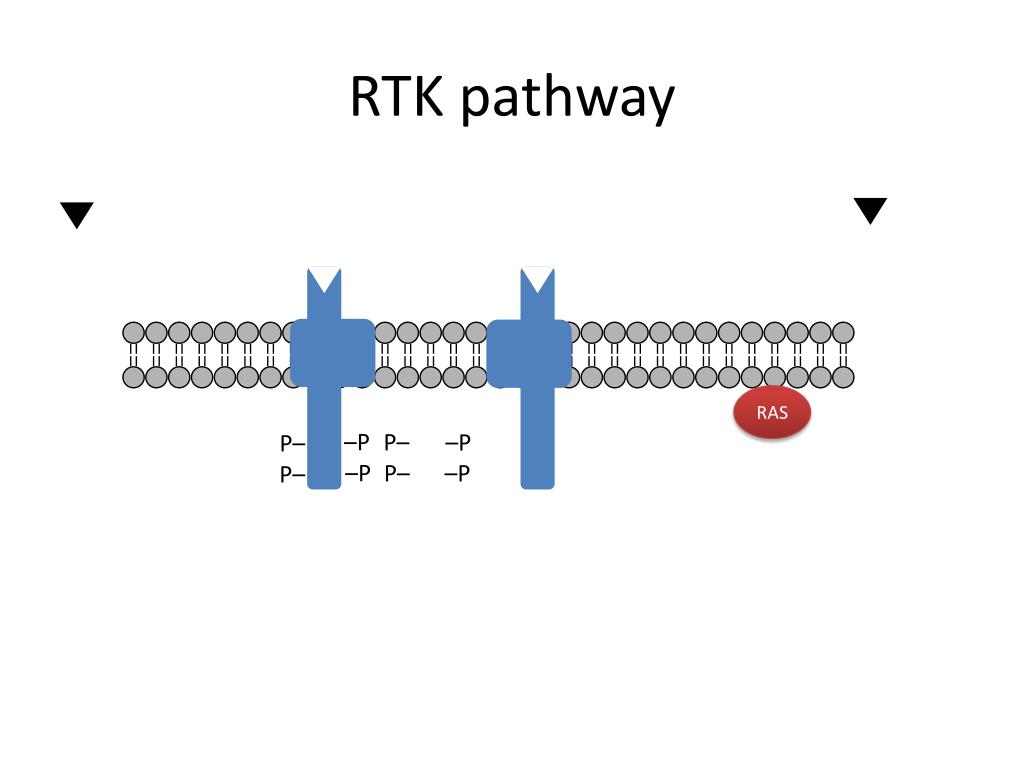 PPT - Chapter 6 PowerPoint Presentation, free download - ID:2128707