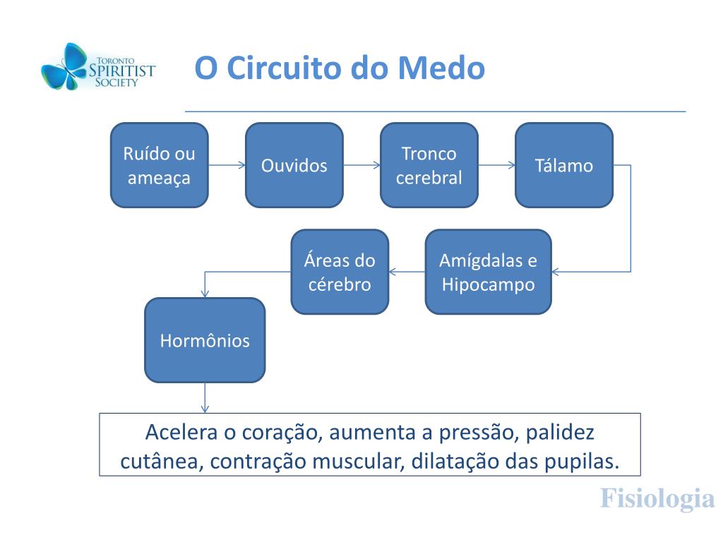 PPT - O Medo Vis ão Espírita , Psicol ógica e de Hammed PowerPoint ...