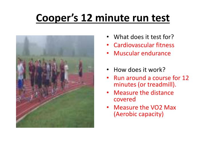 PPT - 1.1.4: Physical activity as part of your Healthy, active ...
