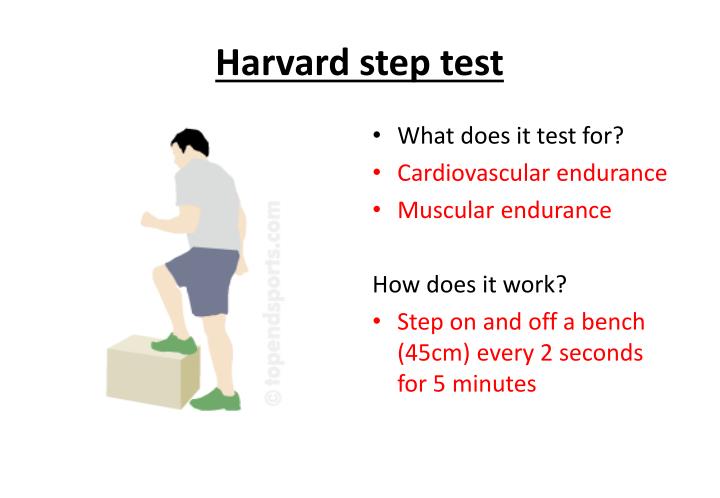 PPT - 1.1.4: Physical activity as part of your Healthy, active ...