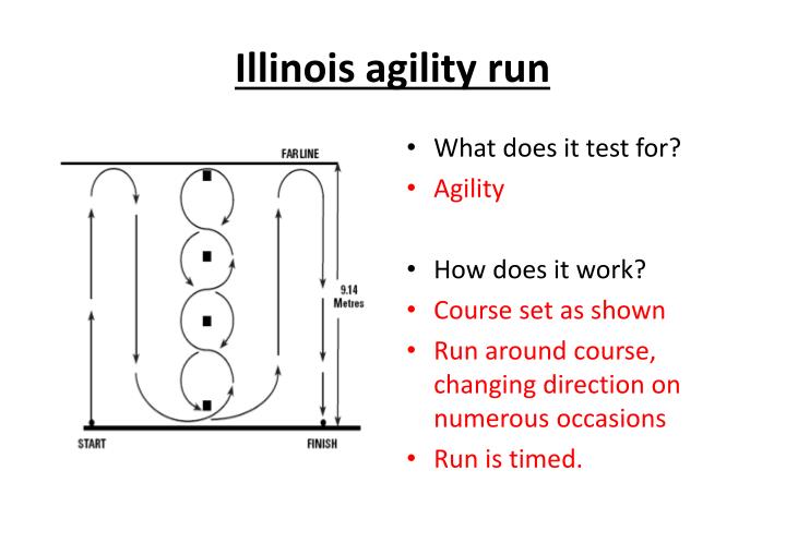 PPT - 1.1.4: Physical activity as part of your Healthy, active ...