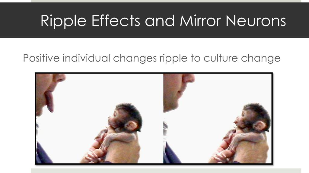 PPT - The Happiness Advantage: Research Linking Happiness and Success ...