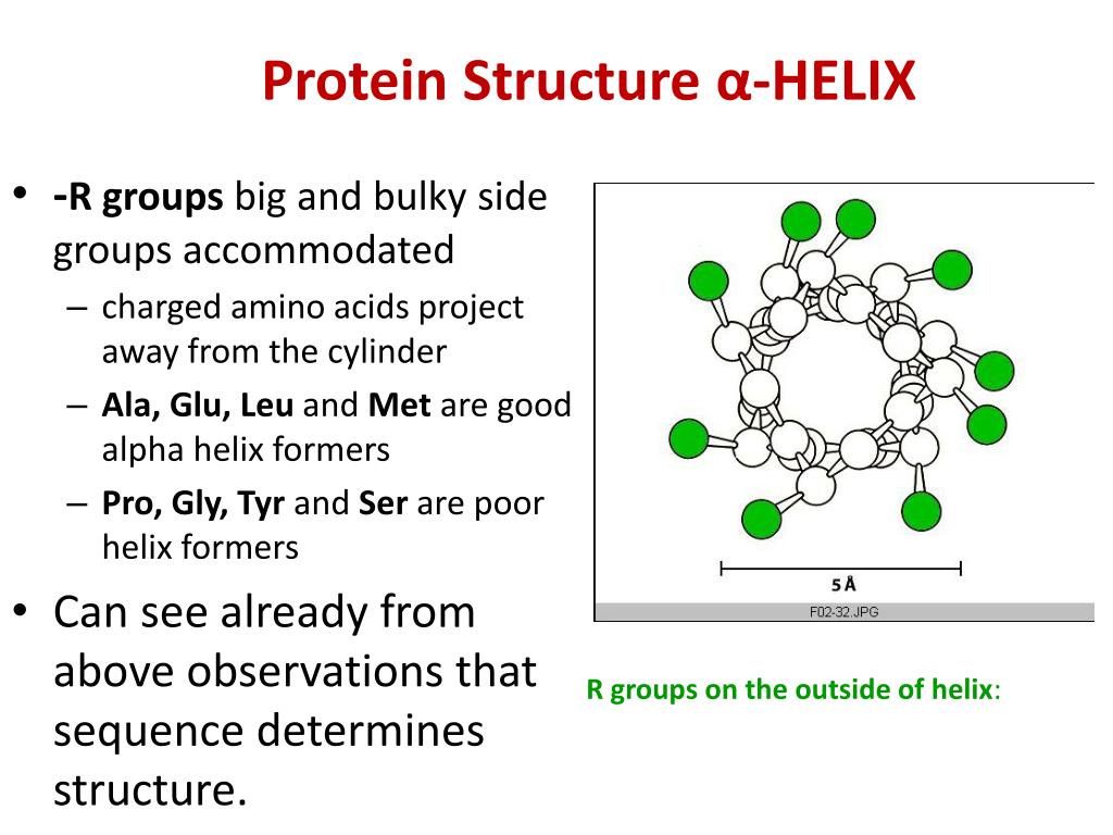 PPT - Chemical Biology 03 BLOOD PowerPoint Presentation, free download ...