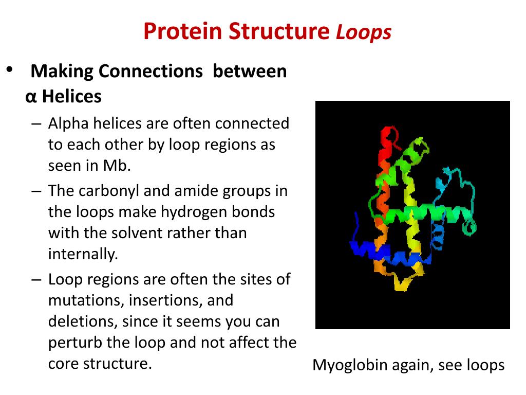PPT - Chemical Biology 03 BLOOD PowerPoint Presentation, free download ...