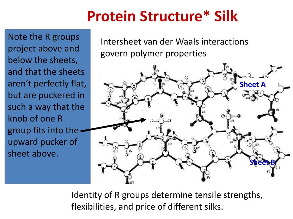 PPT - Chemical Biology 03 BLOOD PowerPoint Presentation, free download ...