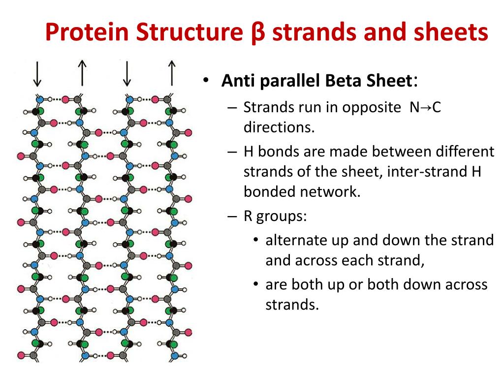 PPT - Chemical Biology 03 BLOOD PowerPoint Presentation, free download ...