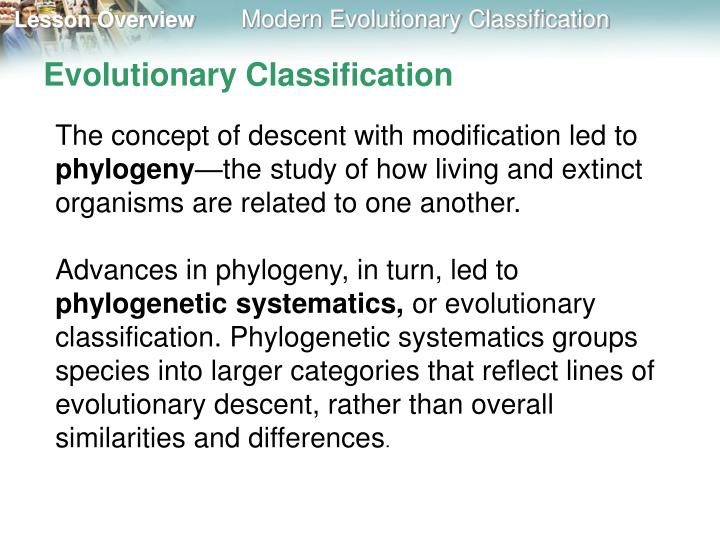 PPT - 18.2 Modern Evolutionary Classification PowerPoint Presentation ...