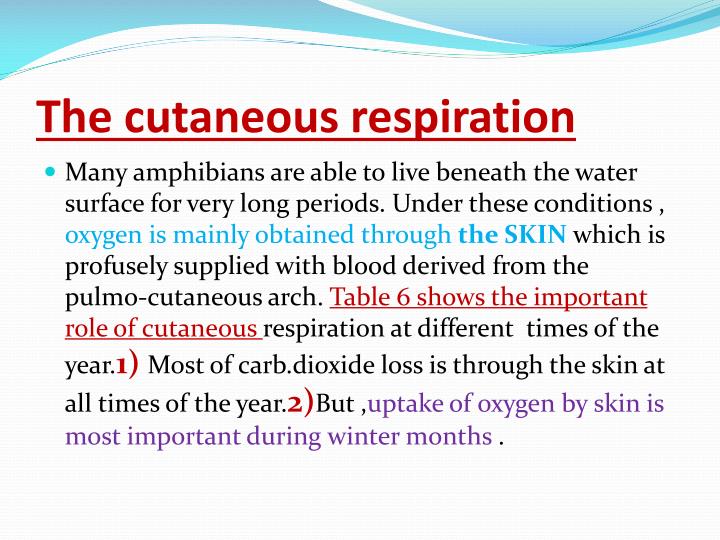 PPT - Respiration of tetrapods PowerPoint Presentation - ID:2129267