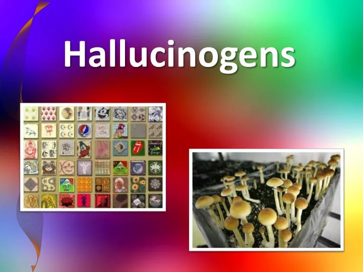 PPT - Hallucinogens PowerPoint Presentation, free download - ID:2129497